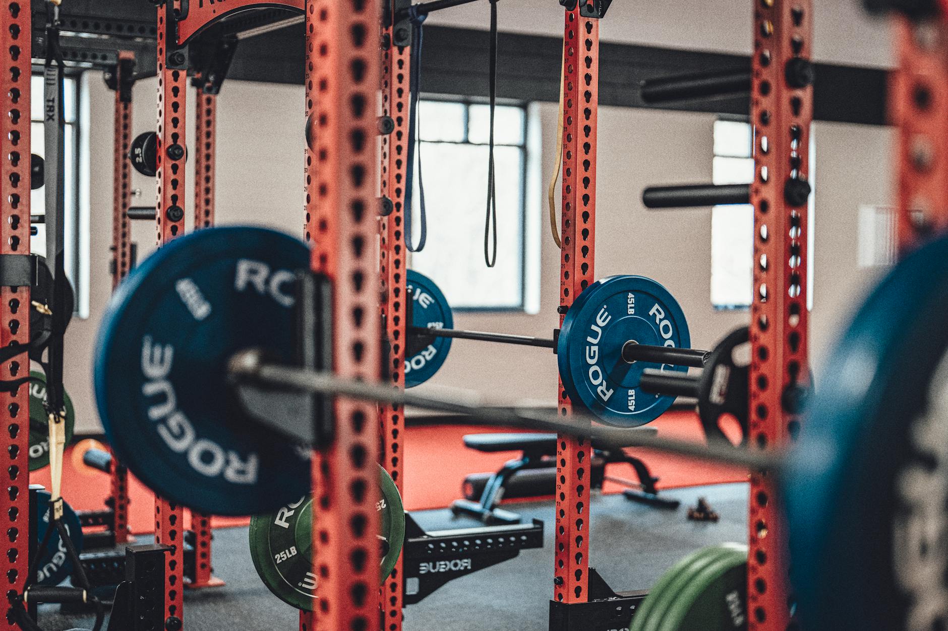 Baseball Workout Plan: Strength Training for Every Season [2026]